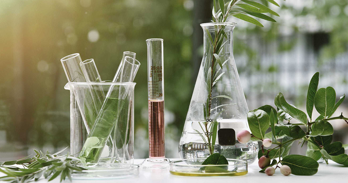Science Behind Sisel: Research & Product Innovation